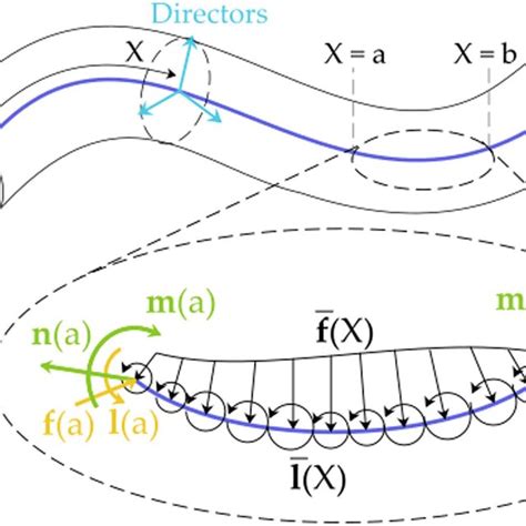 Pdf Soft Robots Modeling A Structured Overview
