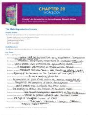 Chapter 20 Workbook Assignment Pdf Course Hero