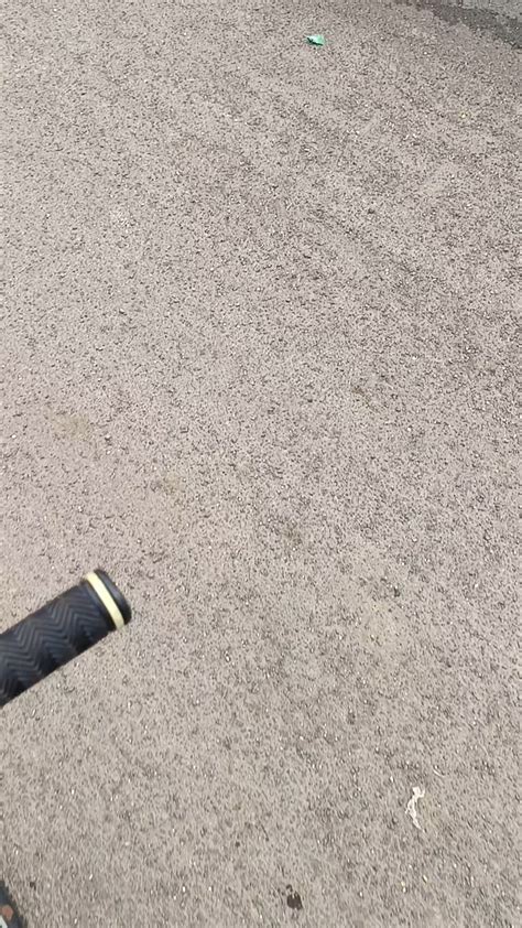 Yolov8 Seg Instance Segmentation Dataset And Pre Trained Model By Gokul