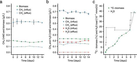 Simultaneous Sulfide And Methane Oxidation By An Extremophile Nature