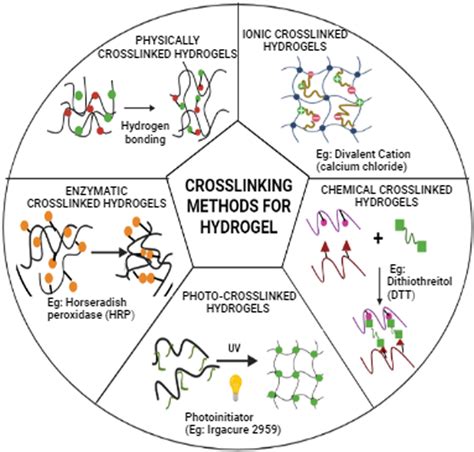 Schematic Representation Of Different Crosslinking Strategies For