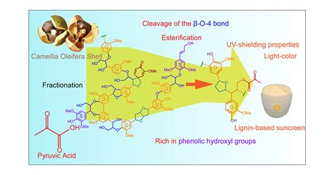 Balance Of Lignin Light Color And Uv Shielding Properties Pyruvic Acid Fractionation For Green