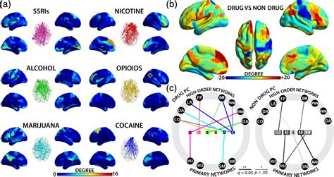 Human Brain Mapping Neuroimaging Journal Wiley Online Library