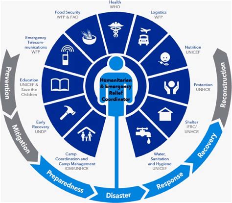7 Cluster Approach Framework Source Unocha Download Scientific Diagram