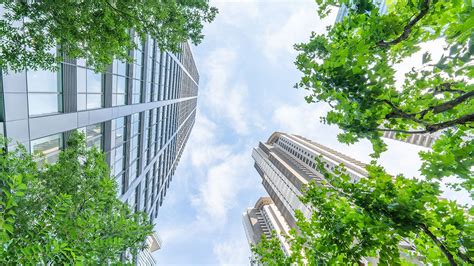 Deconstructing Decarbonisation Action Not Words Needed On The Journey To Net Zero Loupedin