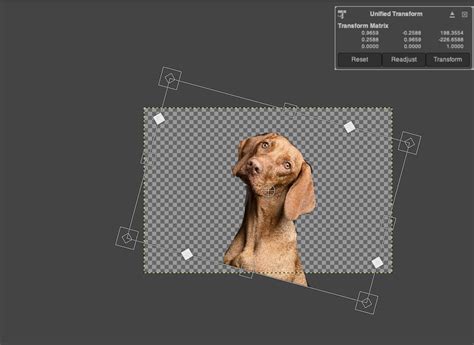How To Rotate Transform An Image In GIMP Complete Guide Edits