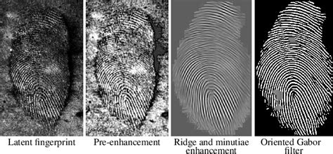 Figure 4 From A Universal Latent Fingerprint Enhancer Using Transformers Semantic Scholar