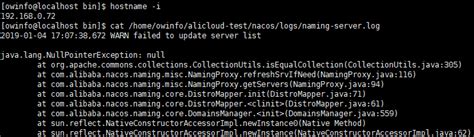 Errors In Nacos Cluster Deployment · Issue 568 · Alibabanacos · Github