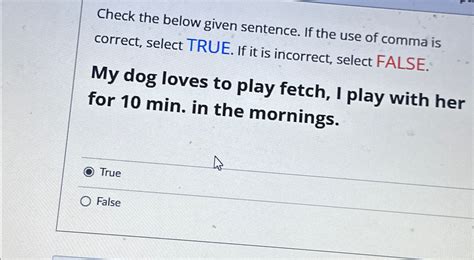 Solved Check The Below Given Sentence If The Use Of Comma