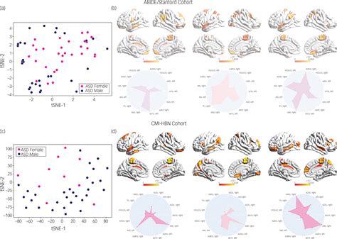 Deep Learning Identifies Robust Gender Differences In Functional Brain Organization And Their