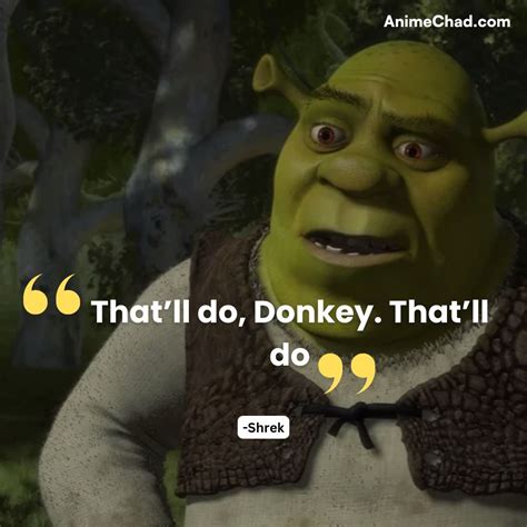 25 Iconic Shrek Quotes That Well Never Forget Animechad