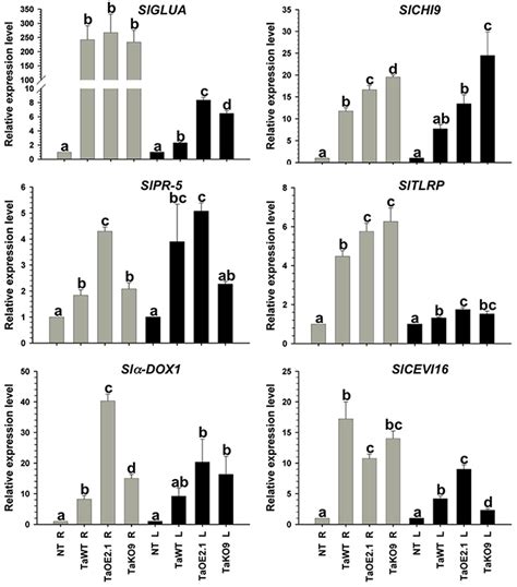 Epl1 Differentially Modulates Sar And Isr Related Genes In Tomato But Download Scientific