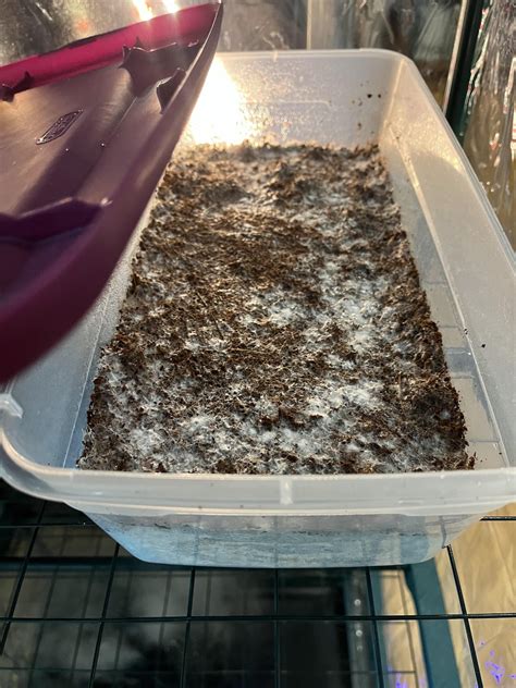 Continue With Fc Introduced Bulk Substrate To Fc 2 Days Ago Wondering