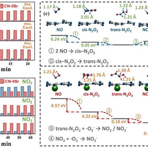 Species Evolution Of A Adsorption Process No Trans N 2 O 2 − And Download Scientific