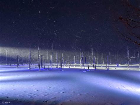 Hokkaido Biei Winter Blue Pond And Shirasuga Falls Illumination Day