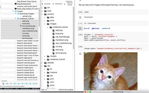 Google Colab Error In Lesson Image Open Not Working No Data To Be Found Anywhere In The