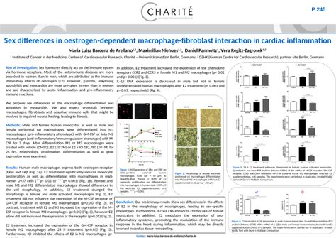 Pdf Sex Differences In Oestrogen Dependent Macrophage Fibroblast Interaction In Cardiac