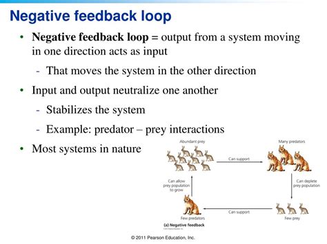 Negative Feedback Loop Example Science At Debra Baughman Blog