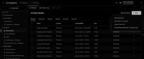Run Deepseek R1 Locally With Ollama And Build A Rag Application