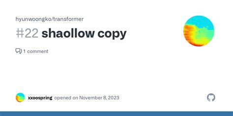 Shaollow Copy Issue Hyunwoongko Transformer GitHub