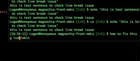 macos terminal line has broken itself when type long characters on