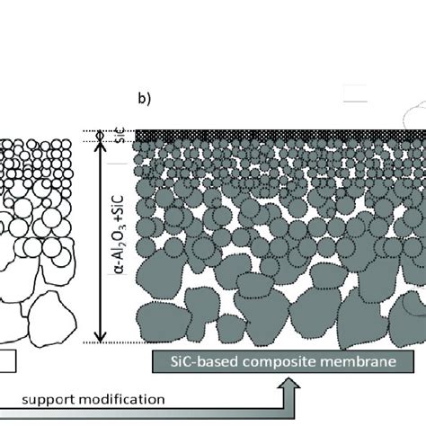 Schematic Representation Of A The Pristine Asymmetric Membrane Download Scientific Diagram