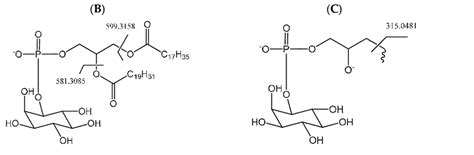 A Chemical Structure Of The Identified Molecular Species Pi