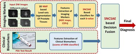 Framework Of The Presented Computer Aided Diagnostic Cad System For Download Scientific