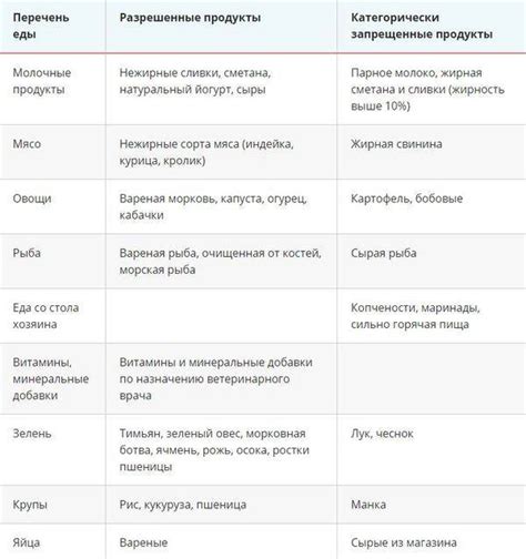 Чем и сколько раз кормить котенка 1 месяц без кошки в домашних условиях можно ли давать