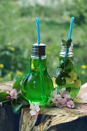 튜브 전구 레모네이드로 가득의 형태로 두 단지 야외에서 그 루터 기에 서 서 공작 부인에 대한 스톡 사진 및 기타 이미지 공작 부인 그루터기 식물 부위 나무 Istock