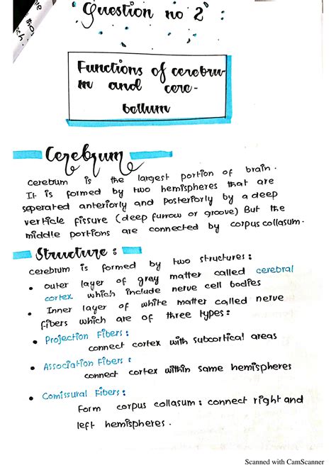 SOLUTION Cerebrum Cerebellum Functions Studypool