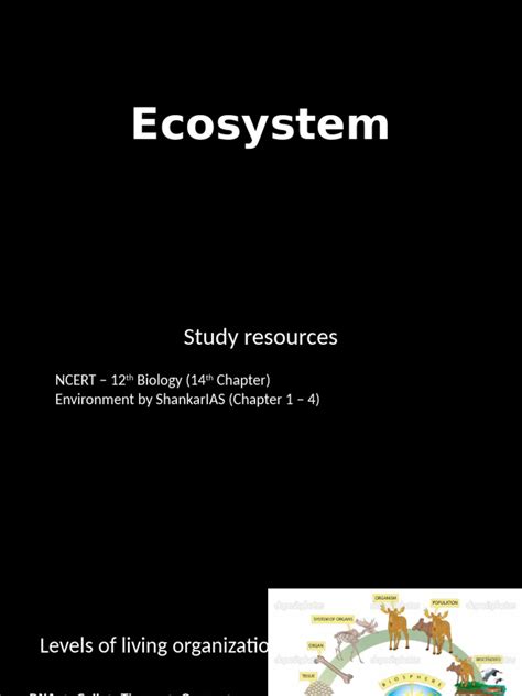 1 Ecosystem 1 Pdf Plant Nutrition Herbivore