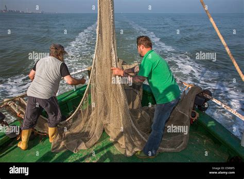 Fishermen Preparing Fish Net On Board Of Shrimp Boat Fishing For Stock Photo 72428697 Alamy