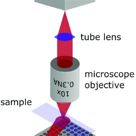 Picture Of Our Fourier Ptychography Microscope With Fluorescence Download Scientific Diagram