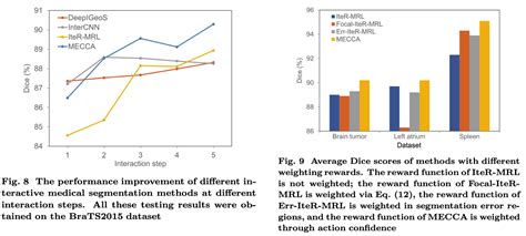 Interactive Medical Image Segmentation