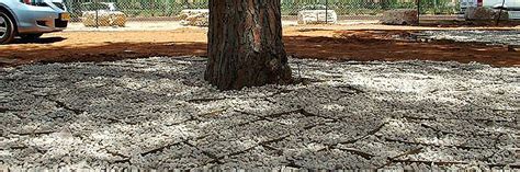 TECHCELL TREE ROOT PROTECTION TCS GEOTECHNICS