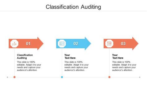 Classification Auditing Ppt Powerpoint Presentation Layouts Layout