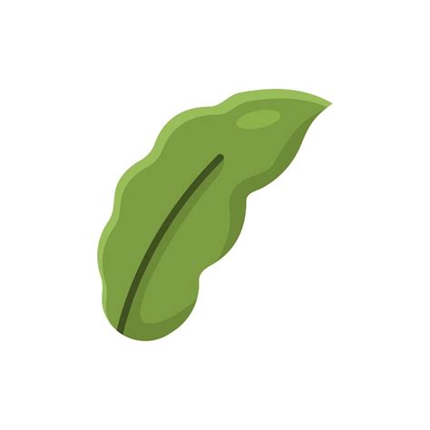 Premium Vector Leaf Element Ornament Design