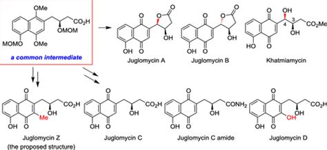 柔红霉素及其衍生物合成的统一方法acs Omega X Mol