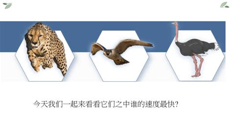 7 什么比猎豹的速度更快 课件 共38张ppt 21世纪教育网