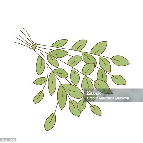 한증막에서 마사지를 위해 나뭇가지의 빗자루 흰색의 윤곽선이 있는 낙서 스타일의 컬러 리디어드 일러스트레이션 0명에 대한 스톡 벡터 아트 및 기타 이미지 Istock