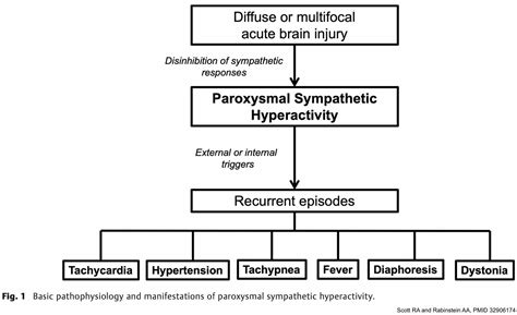 Paroxysmal Sympathetic Hyperactivity Psh Emcrit Project