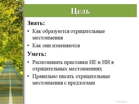 Презентация Отрицательные местоимения 6 класс по русскому языку скачать проект
