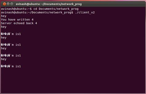 c echo server returning the same input many times stack overflow