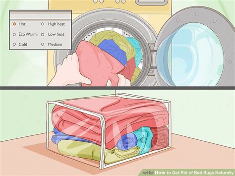 How To Get Rid Of Bed Bugs Naturally 13 Steps With Pictures