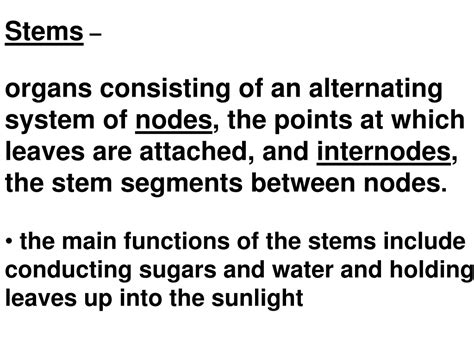 Ppt Plant Cell Structure And Tissue Systems Review Shoot And Root Interdependence Powerpoint