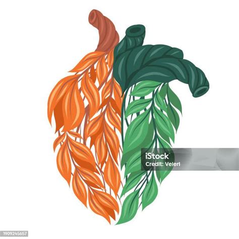 절반 건강하고 건강에 해로운 인간의 심장 만든 나뭇잎 와 절연된 와 배경 건강하고 건강하지 않은 균형 잡힌 생활 방식 0명에 대한 스톡 벡터 아트 및 기타 이미지 Istock
