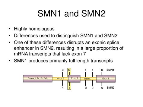 Ppt Sma Case Study Powerpoint Presentation Free Download Id5657307