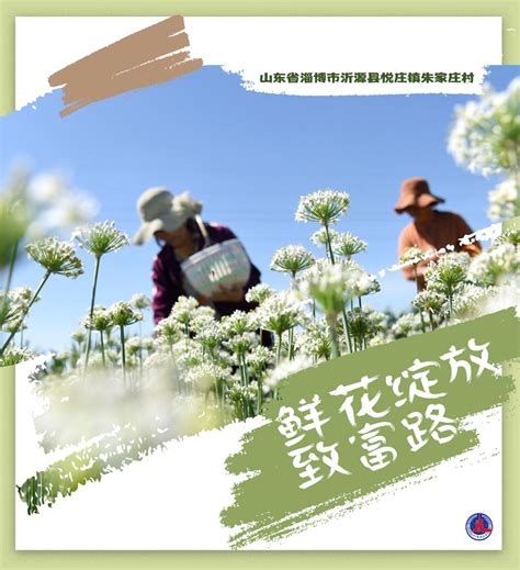 新华全媒丨鲜花绽放致富路 新华网
