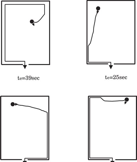 Figure 1 From Many Particle Simulation Of The Evacuation Process From A Room Without Visibility